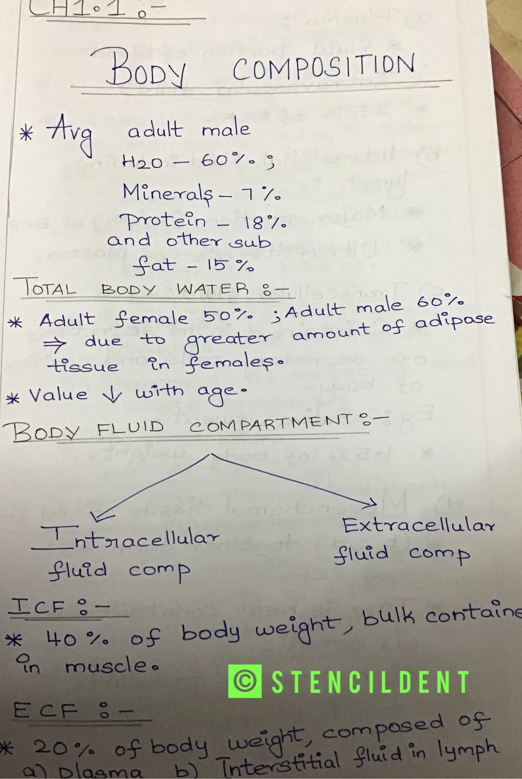 BODY FLUIDS COMPOSITION- learn it easy with stencildent