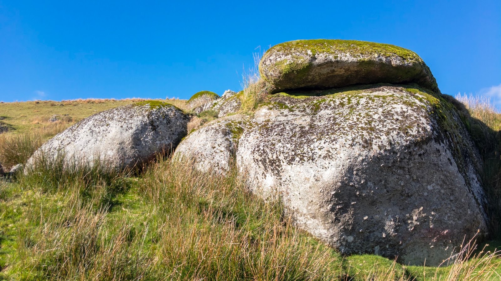 Max Piper - Tor Bagger: Dartmoor: The Tors and Rocks out of Holming Beam