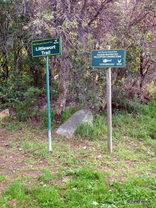 Hiking Cape Town: Hike Newlands Forest to Newlands ravine