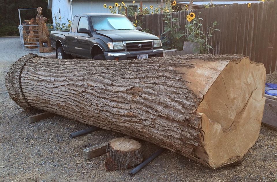 My Wood Carving Adventure