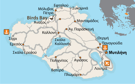 Kρασιά Λέσβου