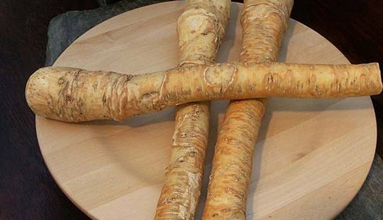 HREN – Armoracia lapathifolia – Kako Leciti