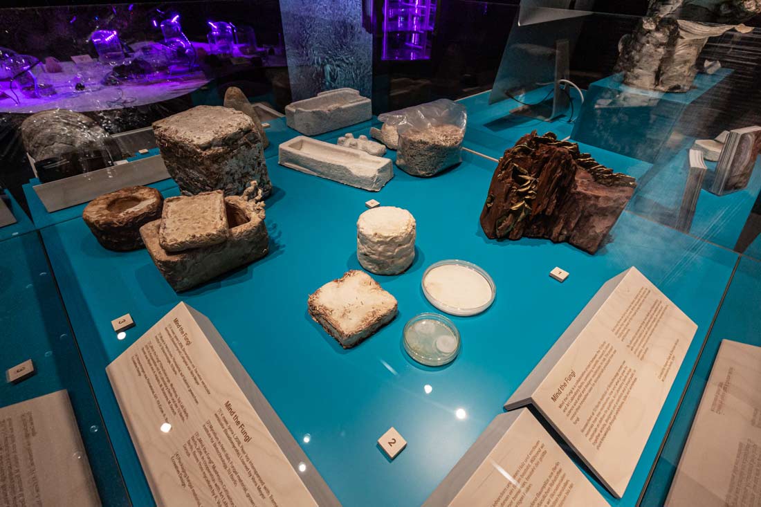 art laboratory berlin: 2020