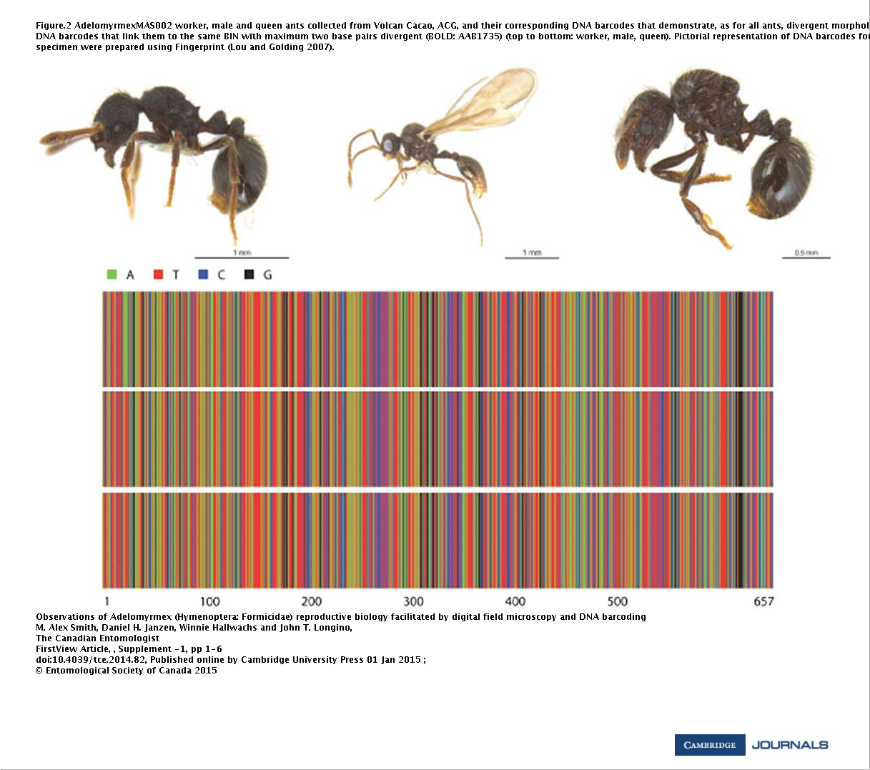 DNA Barcoding: January 2015