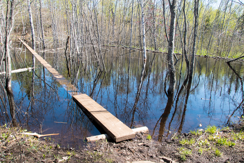 Cliffs and Ruins: Isle Royale 2019, Day 3: Moskey Basin to Daisy Farm ...