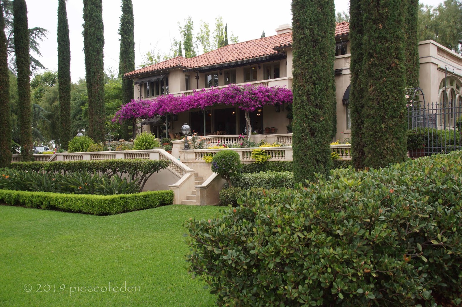 Mediterranean Garden Revisit