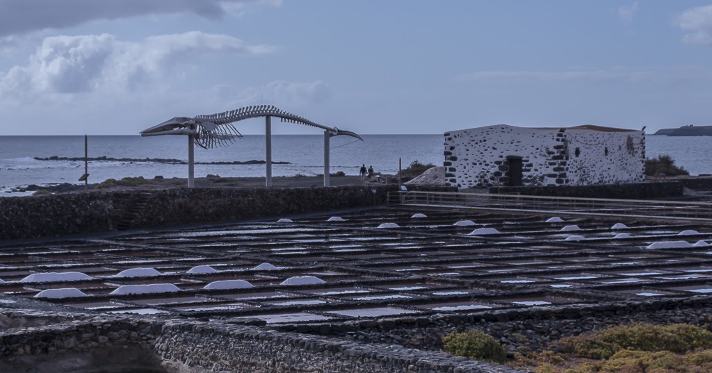 Fuerteventura La Isla Majorera: Salinas del Carmen Costa de Antigua ...