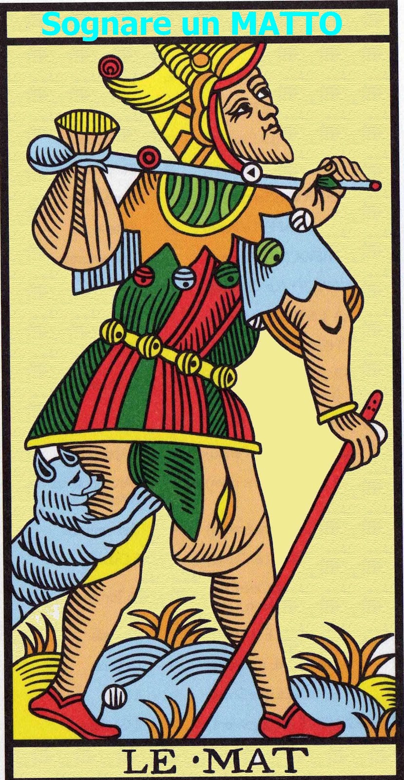 Sognare un MATTO
