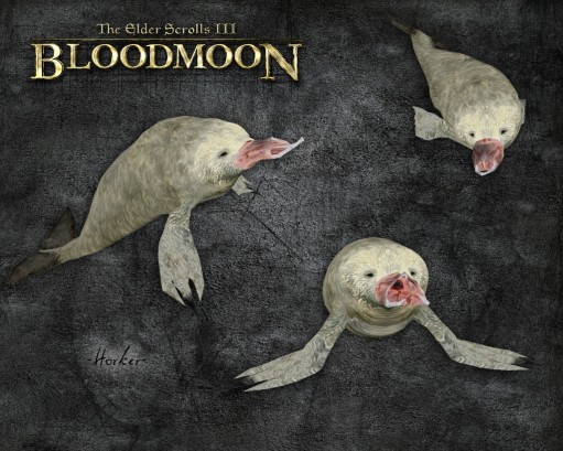 Skyrim Coverage - Database for Skyrim news, details, info, rumors and ...