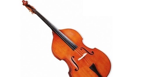 My Homeworks: STRING INSTRUMENT-BASS