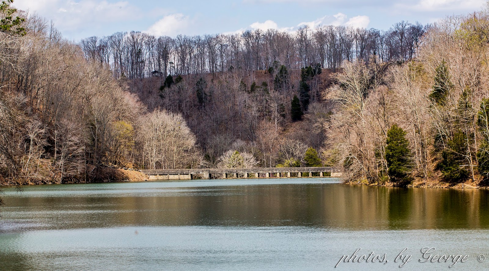 "What's Blooming Now" : Standing Stone State Park