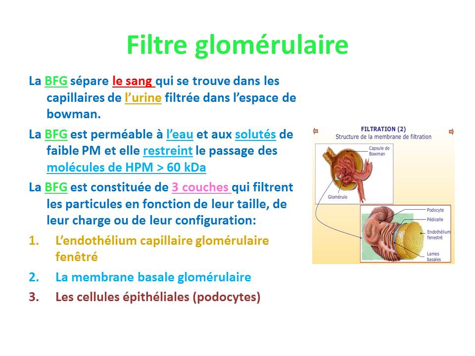 CAnalyses: Etudes de Cas Analyses Medicales CAnalyses: Etudes de Cas Analyses Medicales
