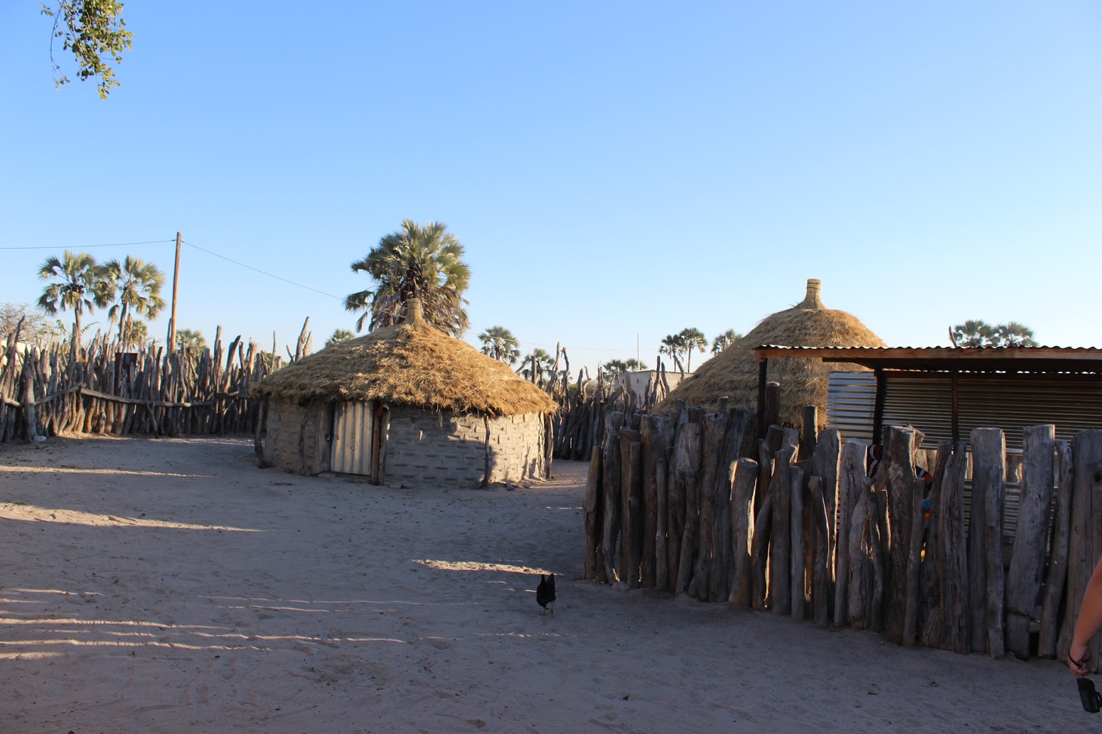 A Lyons adventures in Namibia: Traditional Village Life