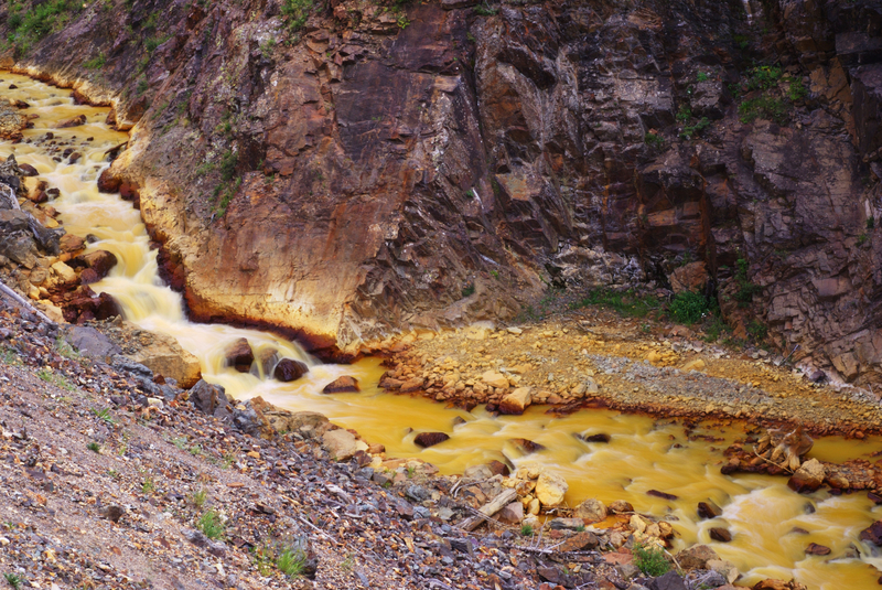 Welcome ~Lucy's~ to the Truth: Truth about Africa and Apartheid