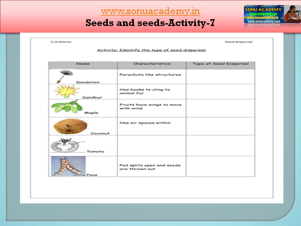 SONU ACADEMY: SEEDS AND SEEDS – EVS CLASS-V (CHAPTER-5) ACTIVITIES