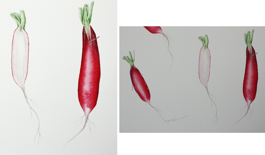 The Natural Year: Back to my roots (ii)