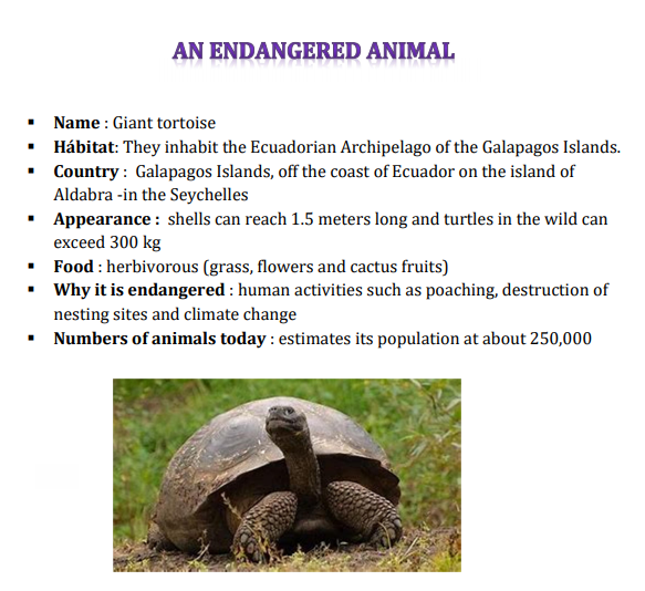 games and songs: Endangered animals projects - 5th Grade