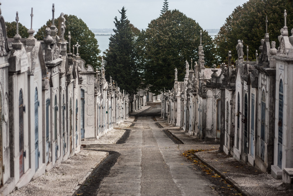European Cemeteries: 2015