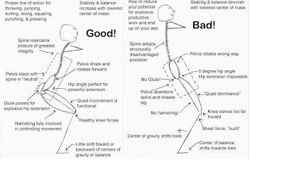 Performance Quest Fitness & Athletics: The Disease: Muted Hip Function ...