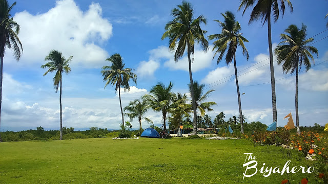 Travel Guide: Your Budget Friendly Olango Island Getaway! - The Biyahero