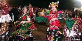 Nalsarovar is heaven for the Bird: Padhar is One Man Army