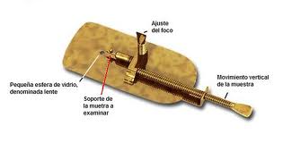 Microscopio: Microscopio simple
