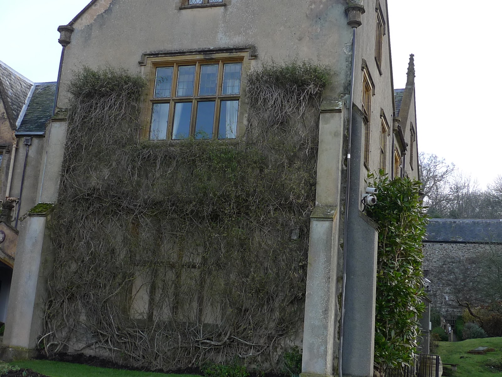 Simplicity is the New Black: A Wonderful Country Break: Combe House ...