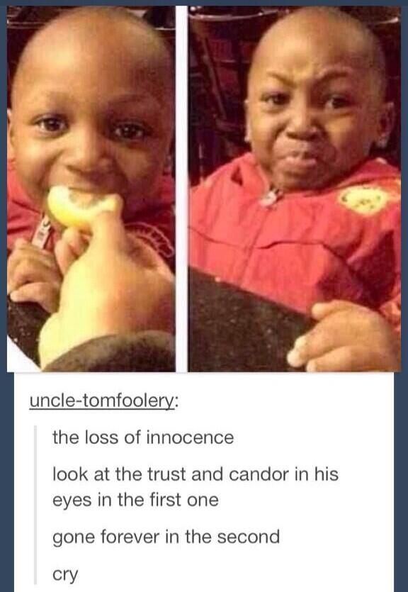 witzeg: Funny Photos Unable to Explain