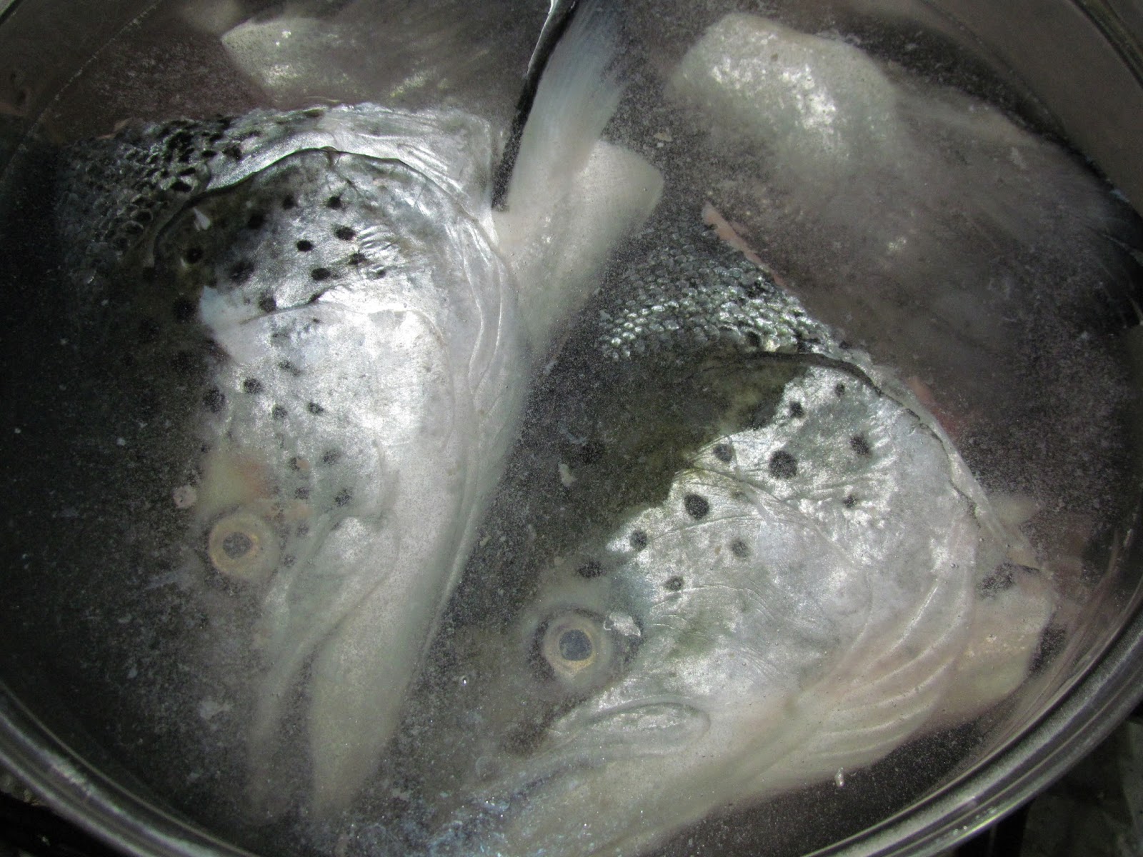 Top Cuisine avec Lavi: Bors de peste / Fish Soup