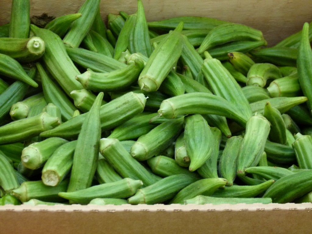 NELSON RODRIGUES TATIS INFORMA: POR TU SALUD! "EL MOLONDRON O QUIMBOMBO ...