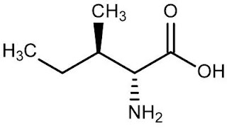 Getting to Know Your Amino Acids: Isoleucine