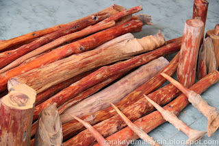 Raja Kayu Malaysia: Raja Kayu