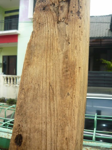 antikpraveda.blogspot.com: Sepasang Tiang kayu Jati Primitif ( Ter erosi ).