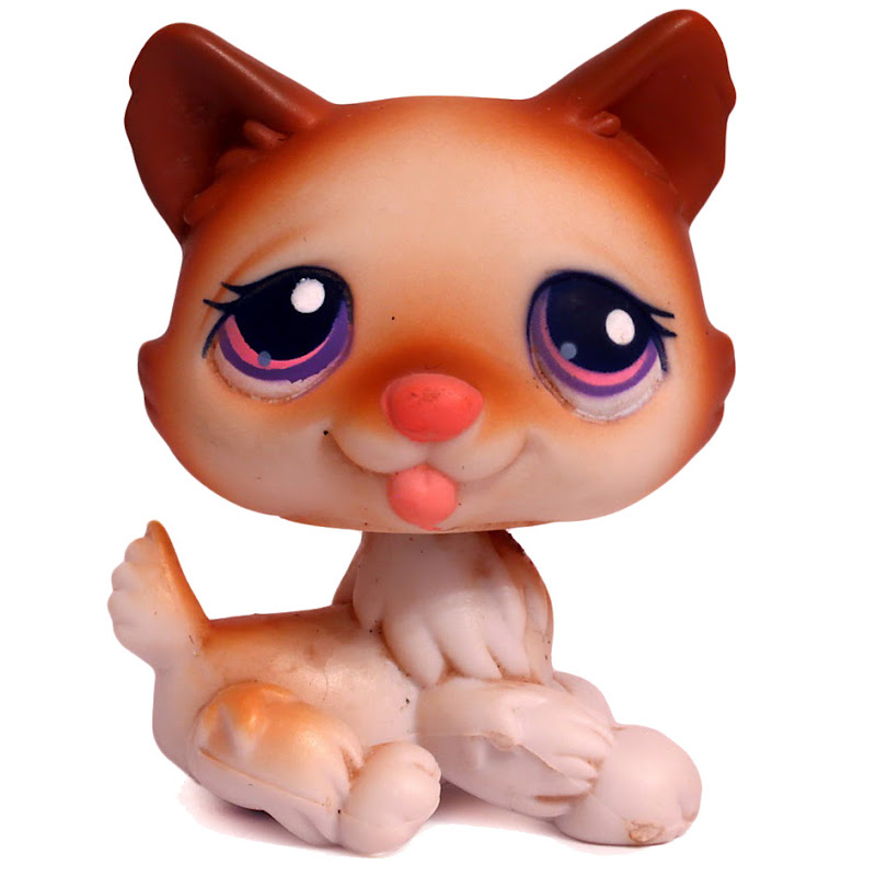Littlest Pet Shop Large Playset Husky (#37) Pet | LPS Merch