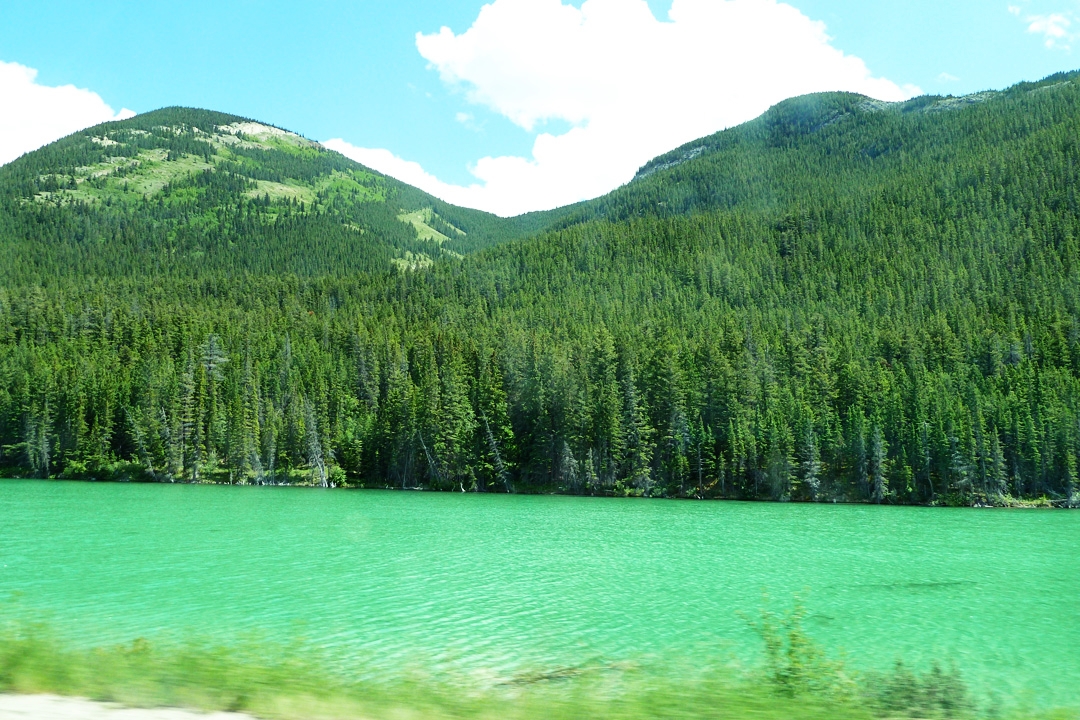 a bit of this & a bit of that: [beautiful Jasper, Alberta]