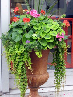 85 Fresh and Easy Summer Container Garden Flowers Ideas - Home Decor Gayam