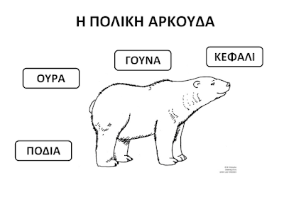 Μικρό Νηπιαγωγείο : Η ΖΩΗ ΣΤΟΥΣ ΠΑΓΟΥΣ ( Η Πολική Αρκούδα συνέχεια)