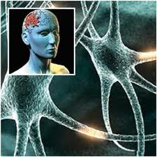 Enfermedades neuronales