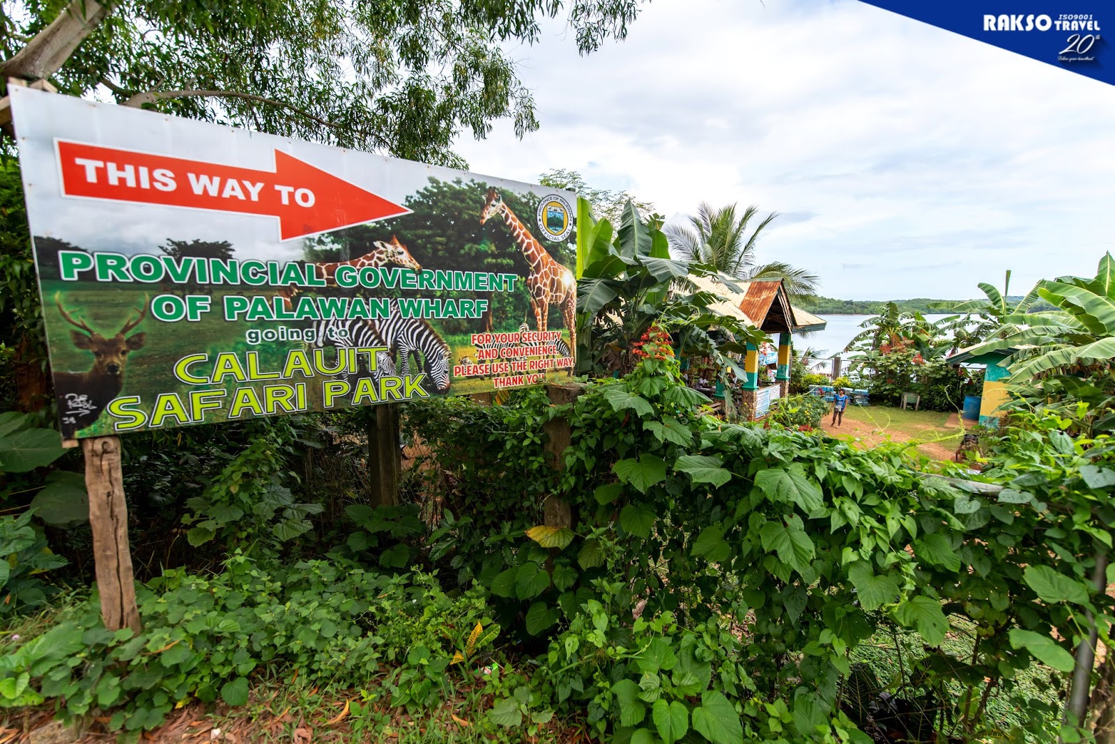 Let’s Get Wild in Coron Palawan