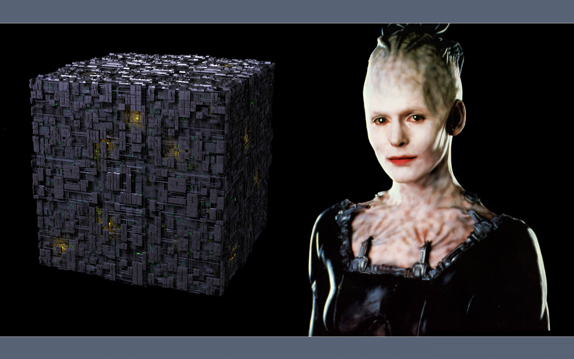 Star Trek Borg Queen Wallpaper