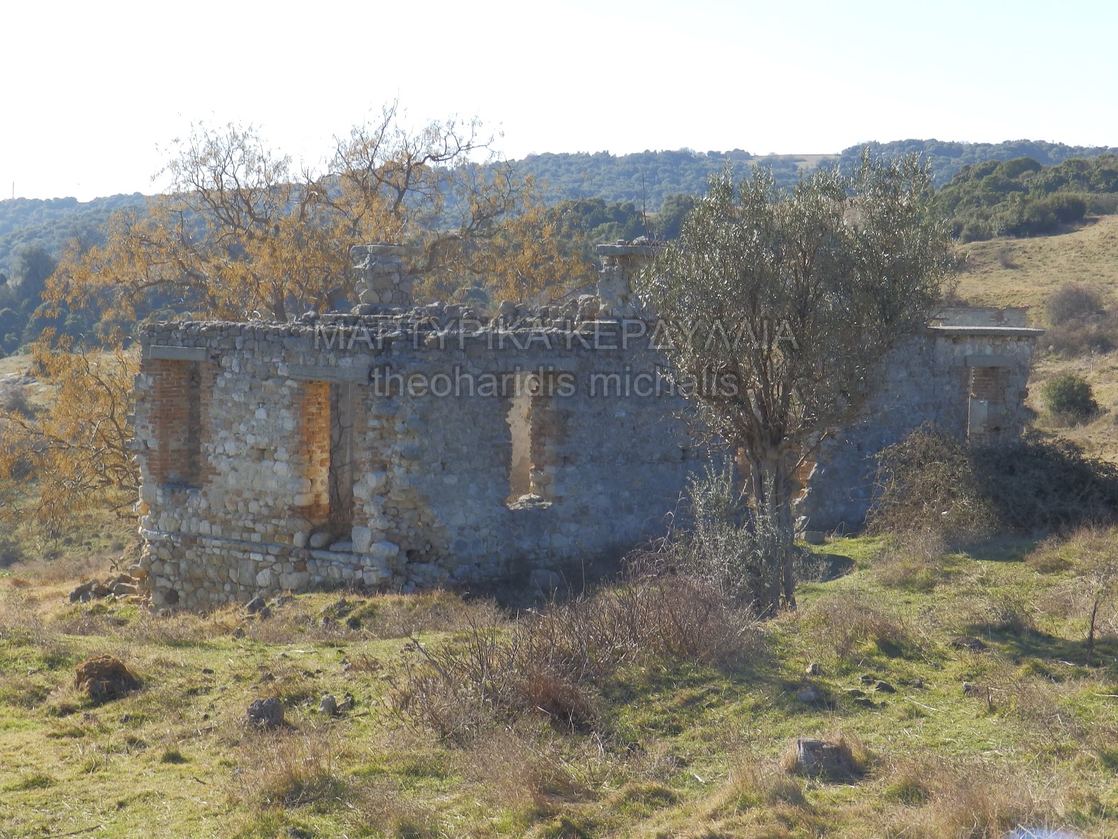 ΑΞΙΟΘΕΑΤΑ ΣΤΑ ΜΑΡΤΥΡΙΚΑ ΚΕΡΔΥΛΛΙΑ ΣΕΡΡΩΝ- Theoharidis Mihalis