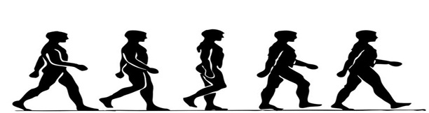 Analisis del Movimiento: MARCHA