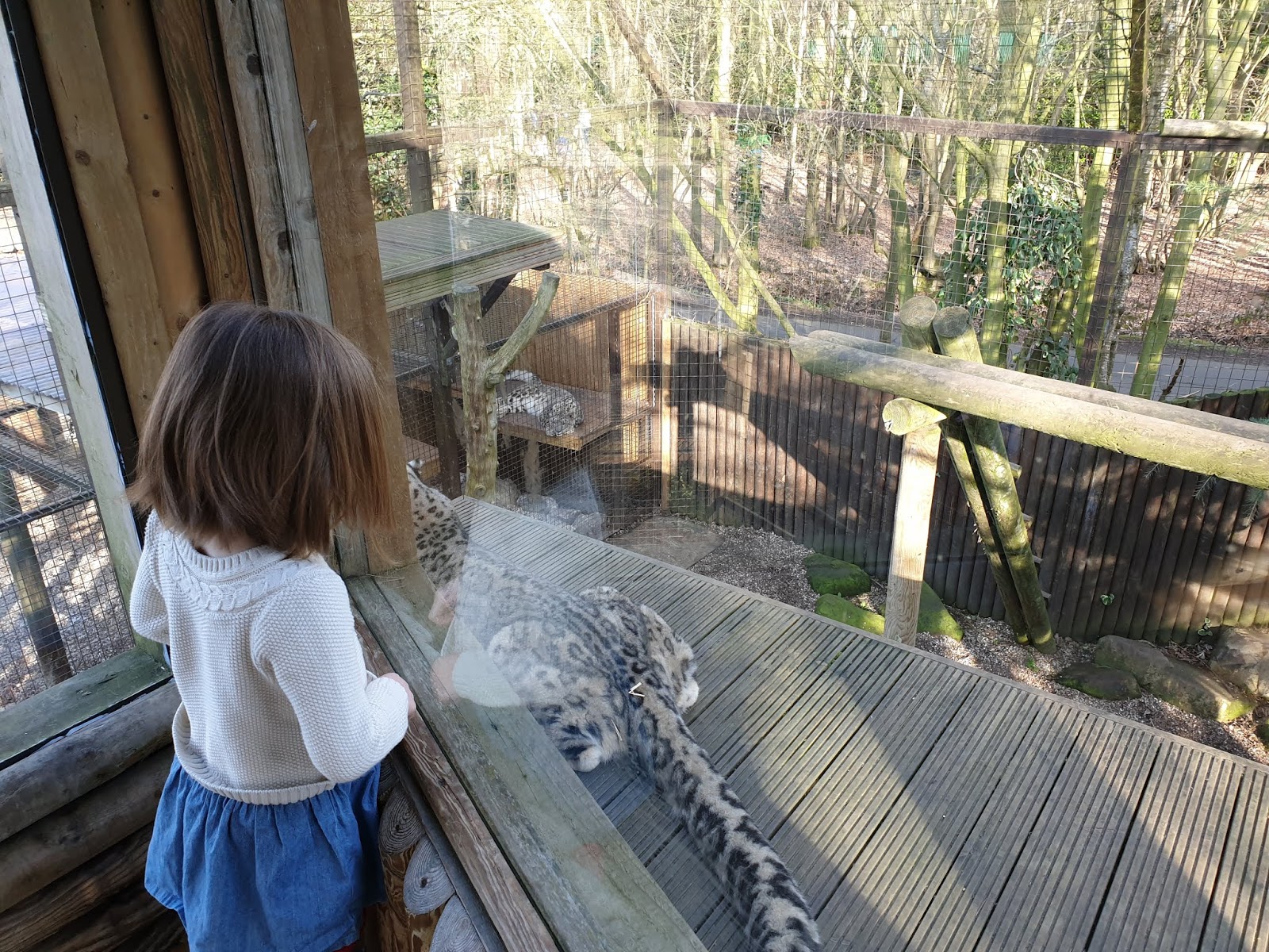 What we thought of the Paradise Wildlife Park