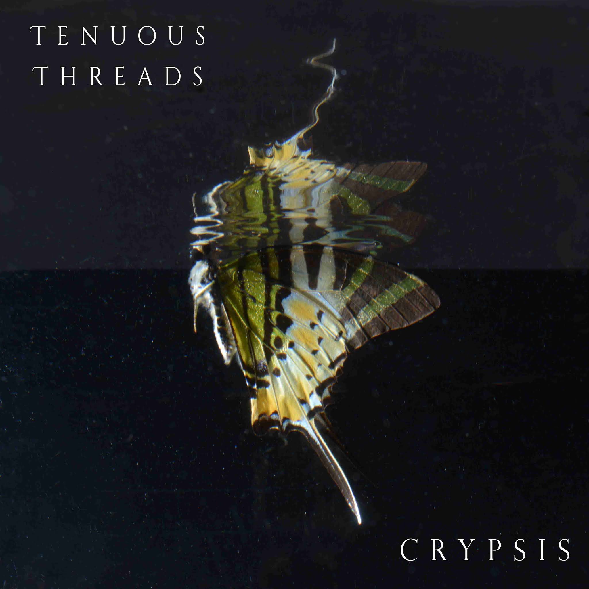 Eat This Rock : TENUOUS THREADS - Controlled Landing