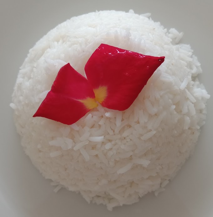 Fusion Foodeez - Healthy Foods to eat everyday