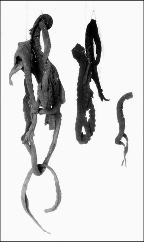 ethan pettit gallery: BLASTA! - a thought about allegory in immersive art