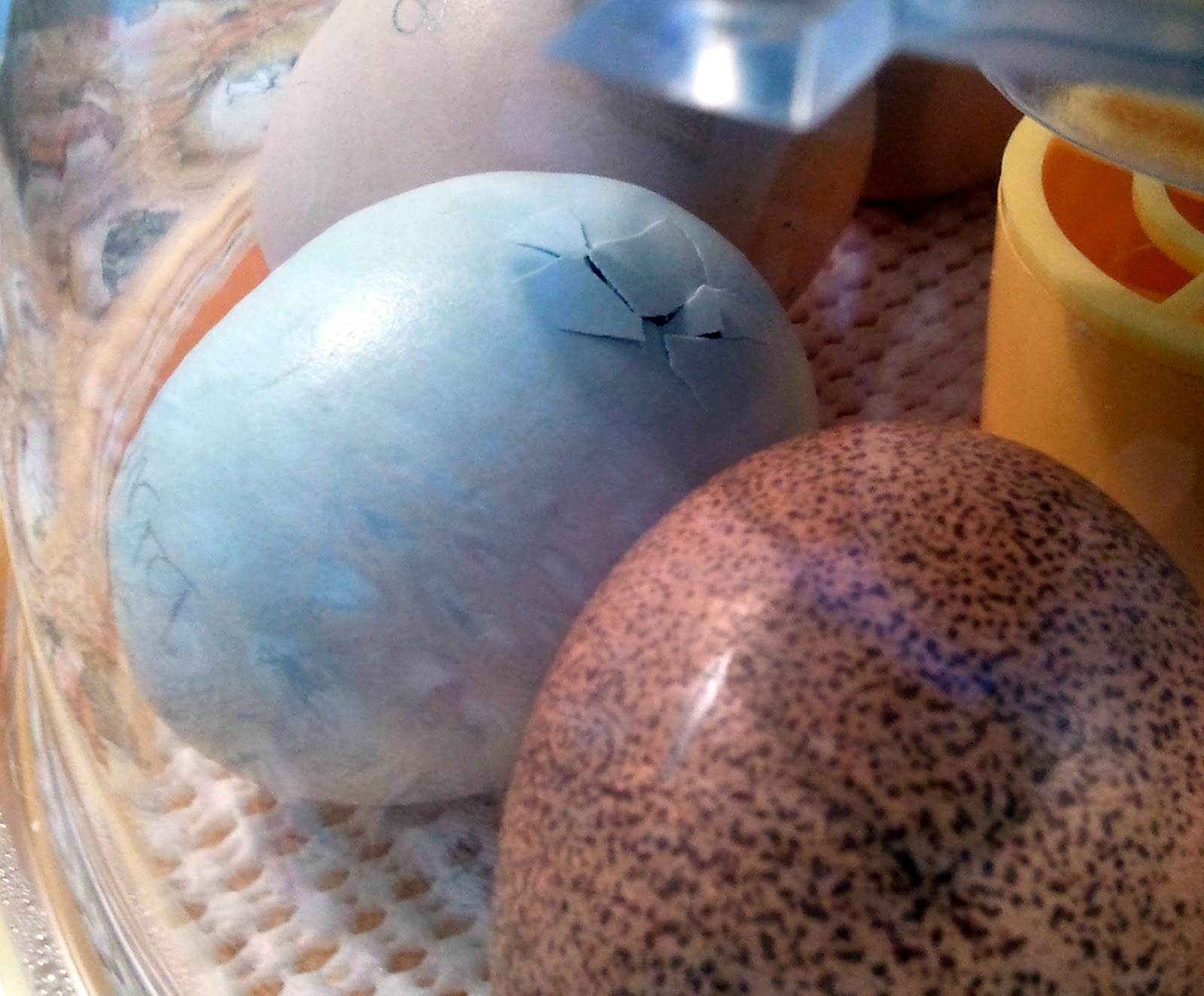 Let's Hatch Chicks! A Day-by-Day Egg Hatching Tutorial - Fresh Eggs ...
