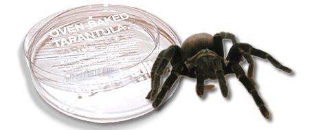 Not Another Foodie.: Oven Baked Tarantulas