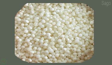 Grain / Cereal Crops Names Meaning & Pictures | Necessary Vocabulary ...