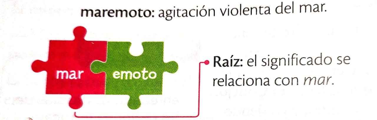 LICEO LOS ÁNGELES : LENGUA C. 2°: LEXEMAS Y MORFEMAS